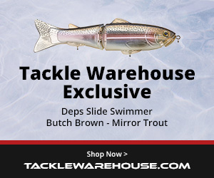 Fishing Lure Review: Live Target Sunfish topwater lure