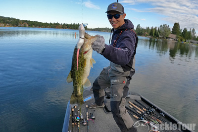 Illude Lunker Fighters Zombie Rat swimbait review #illude # ...