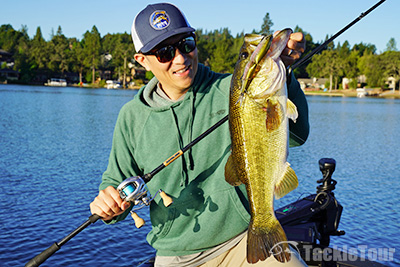 Shimano Armajoint swimbait review #shimanoarmajoint #shimanoswimbait # ...